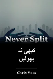 کبھی نہ بھولیں book cover