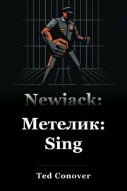 Метелик: Sing book cover