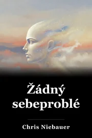 Žádný sebeproblém. book cover