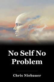 No Self No Problem book cover