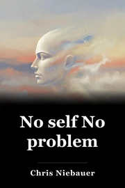 No self No problem book cover