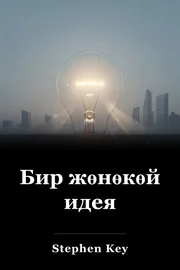 Бир жөнөкөй идея book cover