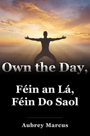 Féin an Lá, Féin Do Saol book cover