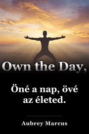 Öné a nap, övé az életed. book cover