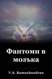 Фантоми в мозъка book cover