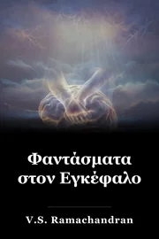 Φαντάσματα στον Εγκέφαλο book cover