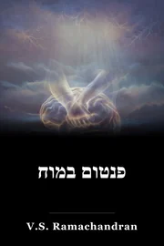 פנטום במוח book cover