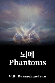 뇌에 Phantoms book cover
