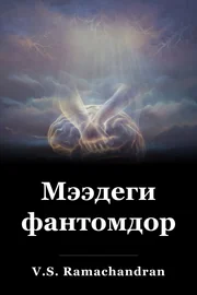 Мээдеги фантомдор book cover