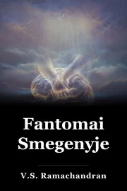 Fantomai Smegenyje book cover