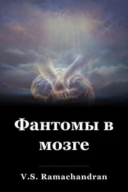 Фантомы в мозге book cover