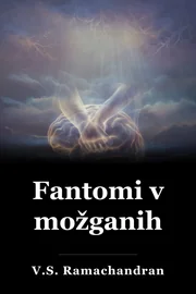 Fantomi v možganih book cover