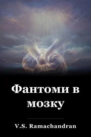 Фантоми в мозку book cover