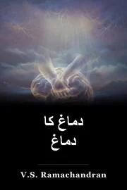 دماغ کا دماغ book cover