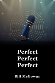 Perfect Perfect Perfect book cover