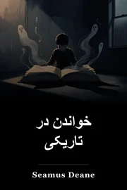 خواندن در تاریکی book cover