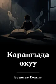 Караңгыда окуу book cover