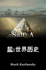 盐:世界历史 book cover