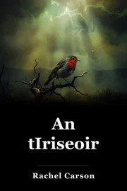 An tIriseoir book cover