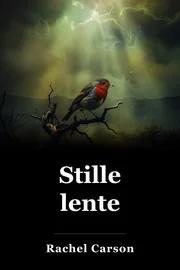 Stille lente book cover