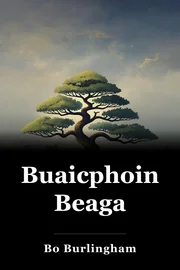 Buaicphointí Beaga book cover