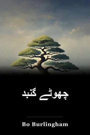 چھوٹے گنبد book cover