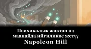 Психикалык жактан оң маанайда ийгиликке жетүү book cover