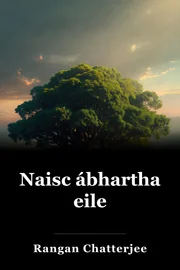 Naisc ábhartha eile book cover