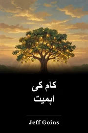 کام کی اہمیت book cover