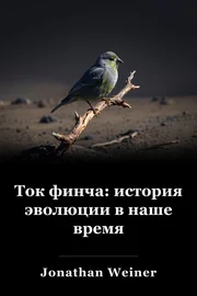 Ток финча: история эволюции в наше время book cover