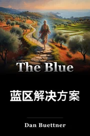 蓝区解决方案 book cover