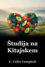 Študija na Kitajskem book cover