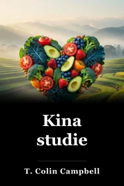 Kina studie book cover