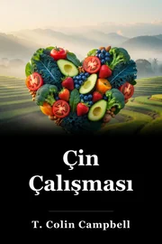 Çin Çalışması book cover