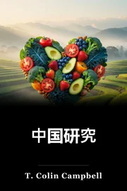 中国研究 book cover