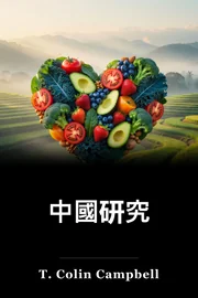 中國研究 book cover