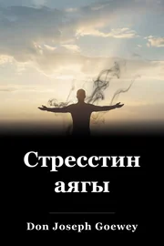 Стресстин аягы book cover