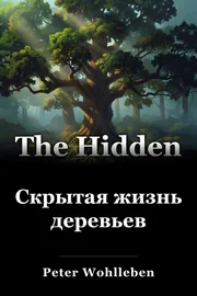 Скрытая жизнь деревьев book cover
