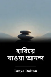 হারিয়ে যাওয়া আনন্দ book cover