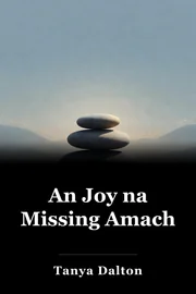 An Joy na Missing Amach book cover