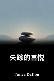 失踪的喜悦 book cover