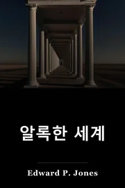 알록한 세계 book cover