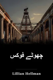 چھوٹے فوکس book cover