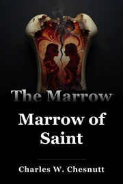 Marrow of Saint book cover