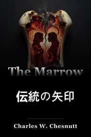 伝統の矢印 book cover