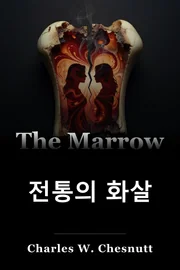 전통의 화살 book cover