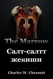 Салт-салттын жеңиши book cover