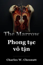 Phong tục vô tận book cover