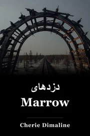 دزدهای Marrow book cover