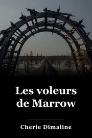 Les voleurs de Marrow book cover